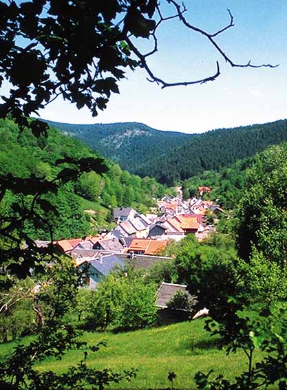 Urlaub in Goldlauter am Rennsteig (Thüringer Wald)